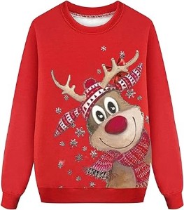 Vendredi 22/12/23 : journée du pull moche ! - Actualités - Cité ...